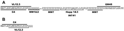 Anti Htt Exon 1 Intrabodies A Antigens Used To Select The Published