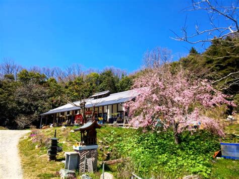 三田 山獲やまどり 関西兵庫を中心にお勧めのお店
