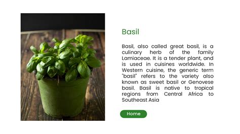 Carousel Effect In Powerpoint Behance
