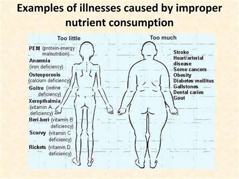 Assessment Of Nutritional Status PPT
