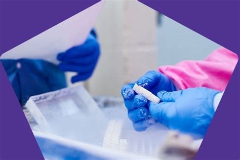 Stability Testing Services