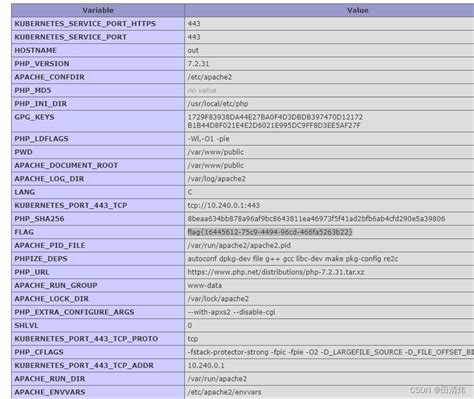 Thinkphp5 Rce Csdn博客