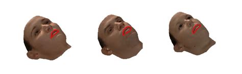 Lip Contour Detection With A Two Phase Segmentation Initial First Download Scientific Diagram