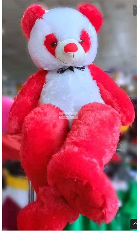 Teady Bear Lankaweb Lk