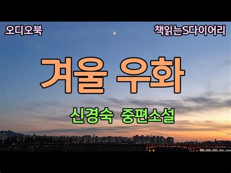 새 작품 그의 절망을 난 보고만 있지 못했다 그래서 말했다 결혼을 하자고 신경숙 오디오북소설듣기책읽어주는여자
