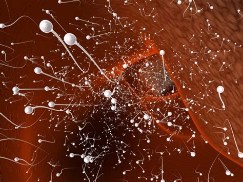 Sperm Abstraction Abstract Bokeh Life Sex Sexual Medical Dna Male Man Men 1sperm