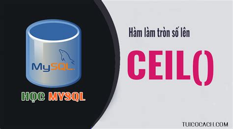 Hàm Ceil Làm Tròn Giá Trị Lên Trong Mysql Hiểu Trong 1 Phút