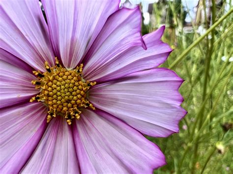 city of pittsburgh added a new photo city of pittsburgh