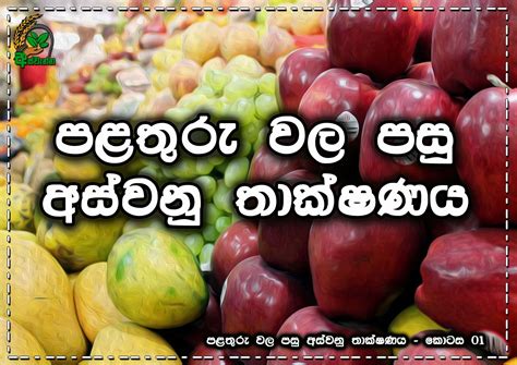 අස්වැන්න පලතුරු වල පසු අස්වනු තාක්ෂණය ශ්‍රී ලංකාවේ වගා