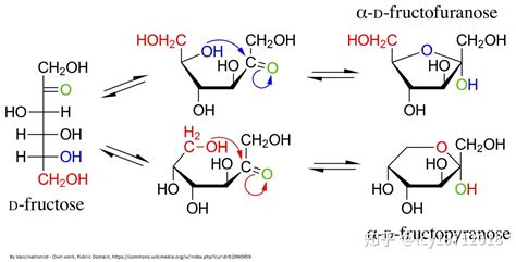 果糖虽好，不宜多吃 知乎