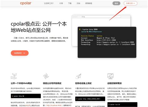 如何在windows系统搭建visualsvn服务并在公网远程访问【内网穿透】 阿里云开发者社区
