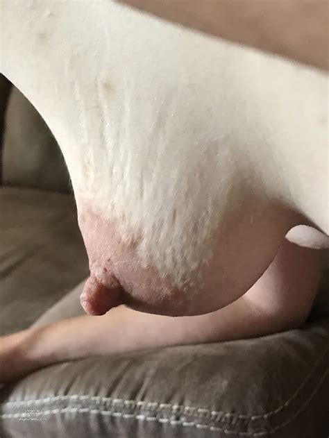 Small Tits Of My Wife Wifes Tit February 2023 Voyeur Web