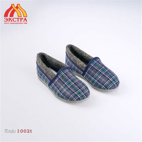 Гэрийн түрийтэй шаахай