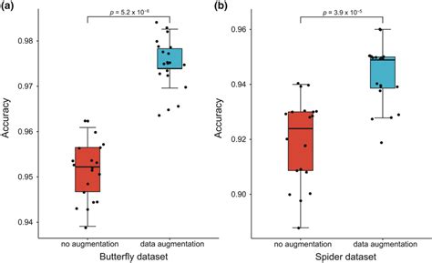 Data Augmentation Effects On Model Performance To Compare