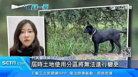 柯美蘭也擁3200坪農地 取得時間地點遭疑「養地」 政治 三立新聞網 Setncom