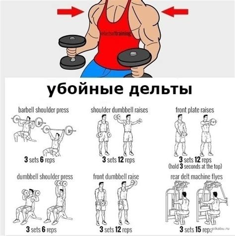 Самые эффективные упражнения на все группы мышц Пикабу