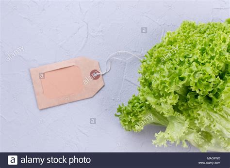 Salad Leaf Lettuce And Paper Label Food Nutrition And Freshness Price