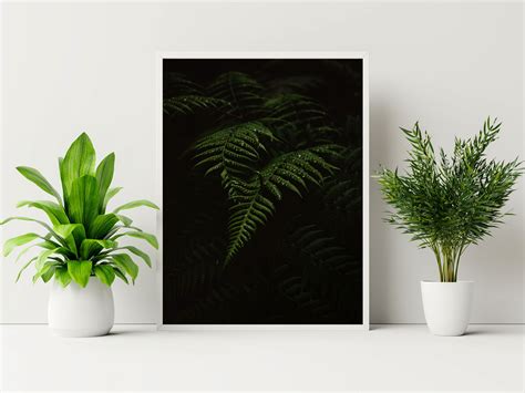 Paproć Z Surrealistycznego Ogrodu Coupleaway