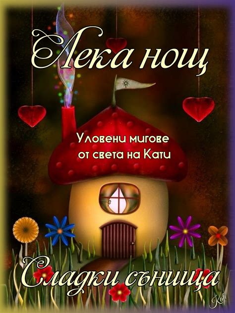 ЛЕКА НОЩ ОТ МЕН Уловени мигове от света на Кати