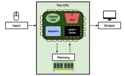 CPU Flashcards Quizlet