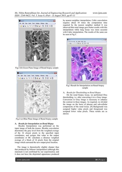 Preprocessing Techniques For Image Mining On Biopsy Images Pdf