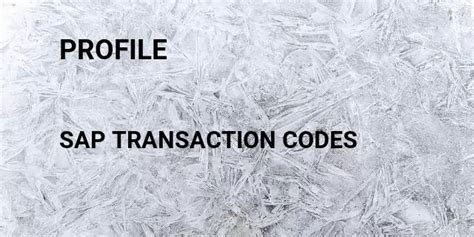 Profile Tcode In Sap Transaction Codes List