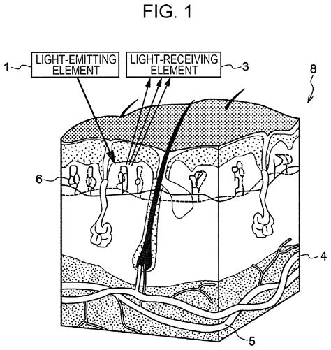 Biological Information Measuring Apparatus And Non Transitory Computer Readable Medium Eureka