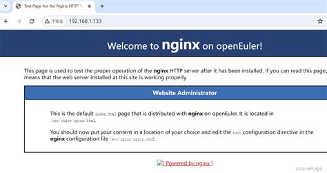 Nginx反向代理 Csdn博客