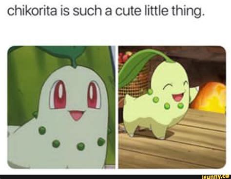 Chikorita Is Such A Cute Little Thing Ifunny