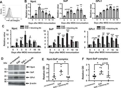 Nephronectin Influences Eae Development By Regulating The Th17treg