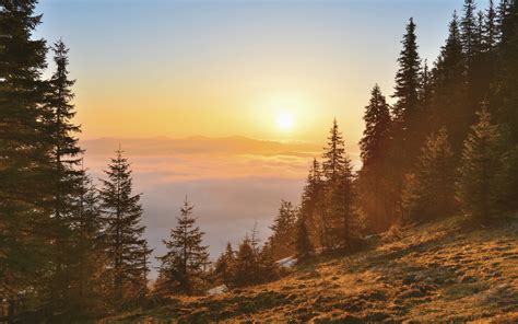 50 Positive Morning Affirmations To Start The Day Spiritvibez