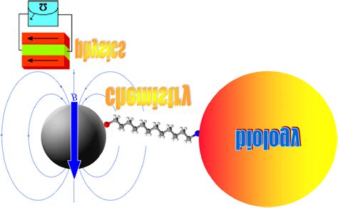 Schematic Presentation Of A Biosensor Concept For Single Molecule