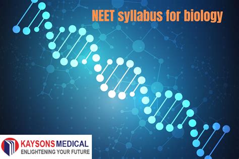 Neet Physics Biology And Chemistry Syllabus 2023 Artofit