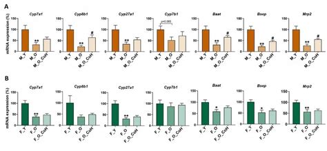 Gut Microbes 李后开教授团队在“肠道菌 胆汁酸代谢轴”与衰老的关系研究中取得新进展 麦特绘谱生物科技上海有限公司