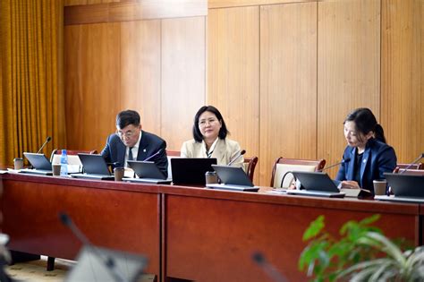 УИХ ын УИХ ын Инновац цахим бодлогын байнгын хороо