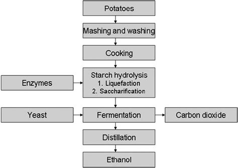 Potato Based Bio Ethanol Production Process Modified From Vahtola Et Download Scientific