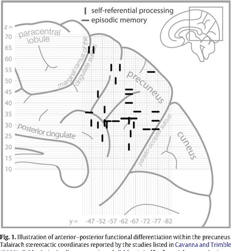 Figure 1 From Delineating Self Referential Processing From Episodic Memory Retrieval Common And