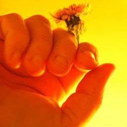 Satisfied Pico X BF Keith Complete Chapter 1 Wrong Wattpad