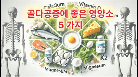 골다공증에 좋은 영양제 5가지 골다공증 Youtube