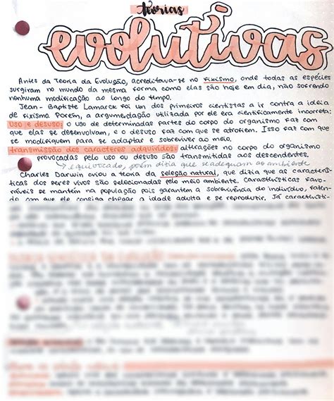 Solution Teorias Evolutivas Studypool