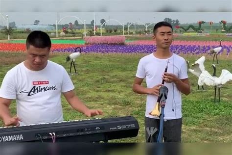 电子琴唢呐演奏一曲《渴望》dj音乐，节奏悠扬醉心扉！唢呐电子琴音乐