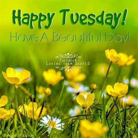 10 Very Beautiful Tuesday Images With Quotes Happy Sunny Tuesday