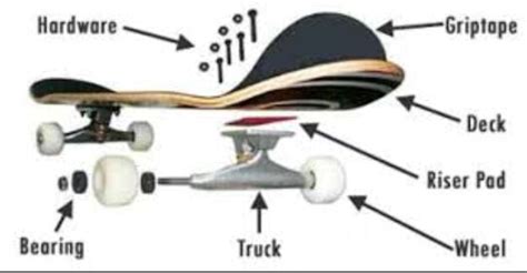 A Guide To Skateboard Construction Understanding Your Boards Anatomy