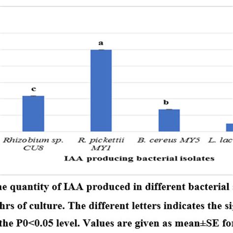Isolation Characterization And Phylogenetic Analysis Of Nodule Associated Bacteria From Mimosa