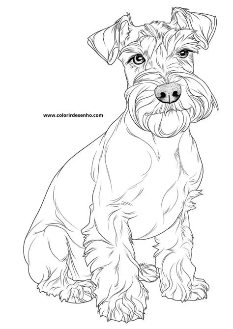 Cachorro Para Colorir Desenhos Para Colorir