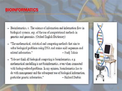Bioinformatics Final Presentation