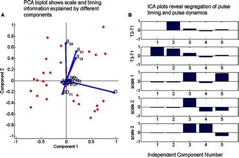 direct tests of whether pulse durations and pulse intervals are