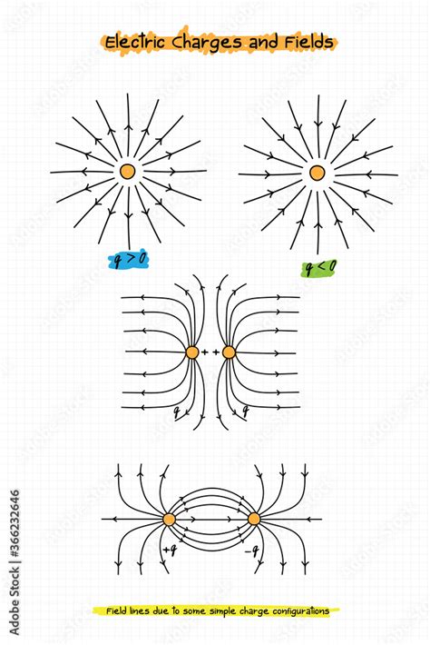 Electric Field Of Negative Charge At Laurie Hamlett Blog
