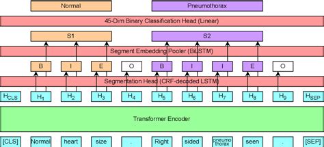 Figure 1 From A Multi Task Transformer Model For Fine Grained Labelling Of Chest X Ray Reports