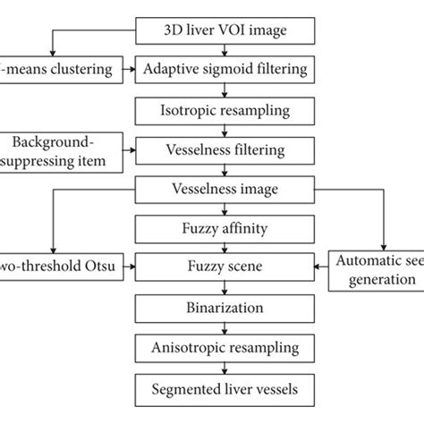 Segmentation Of Vessel From Synthetic Data By Using The Improved Fuzzy Download Scientific